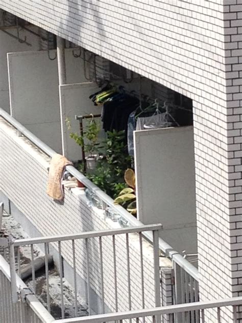 付郵便調査 公示送達居住所調査 不動産引き渡し命令現地調査 岐阜県 全国 総合調査＆コンサルティング 株式会社エコワークリサーチ＆コンサルティング