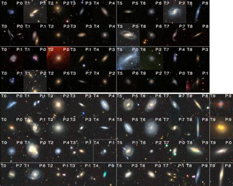 Example Images From Source Sdss Data Top And Target Decals Data Download Scientific Diagram