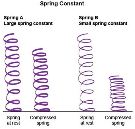 Which Situation Requires A Spring With The Largest Spring Constant Exam4Training