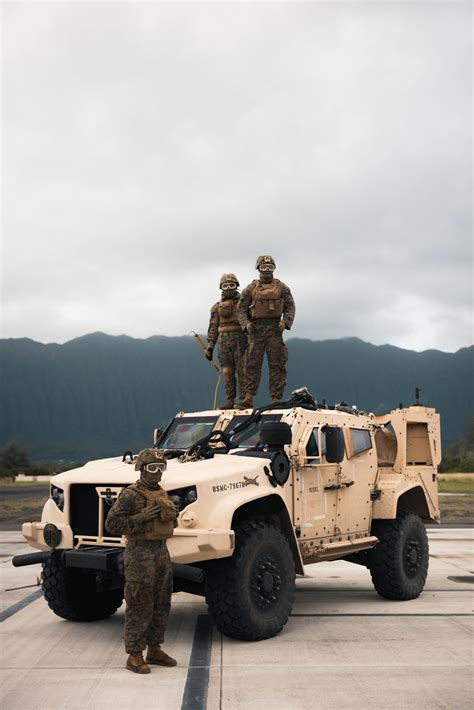 Dvids Images 3d Llb Conducts Helicopter Support Team Training At