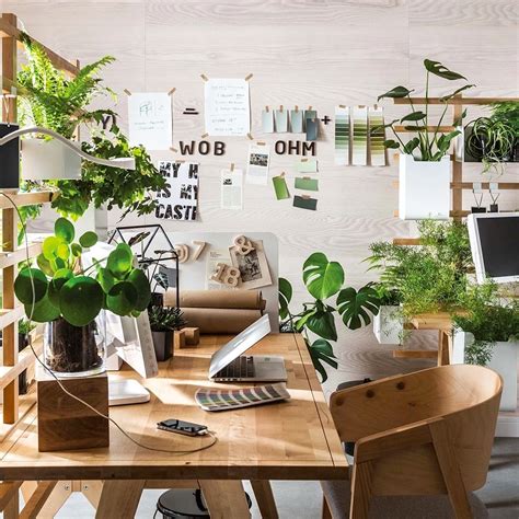 Plante Pentru Birou