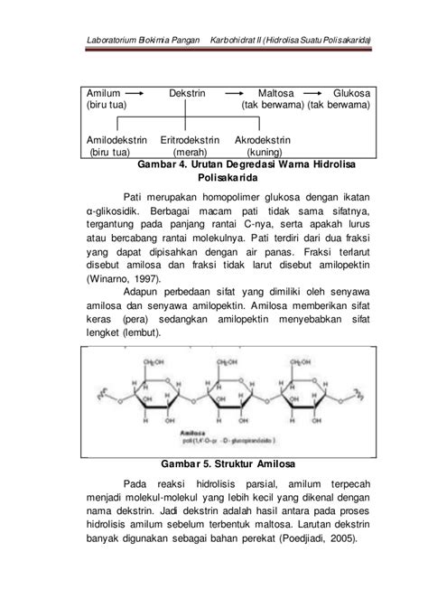 Hidrolisis Pati Herofbio