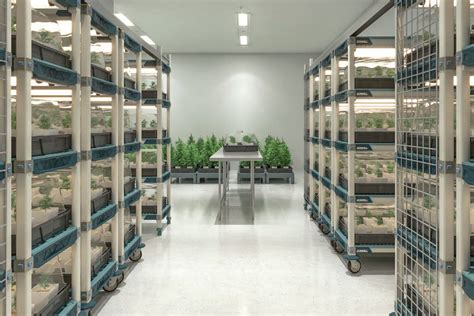 Cannabis Drying Racks Secure Storage Pac Manufacturing Experts