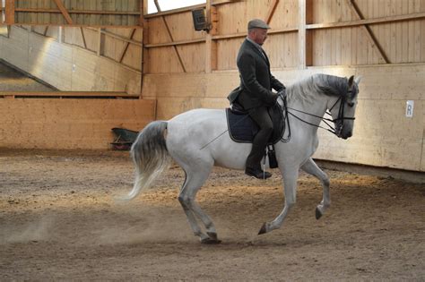 Galerie Dressage Classique Centre Équestre Les Kà à Vuadens Camps D
