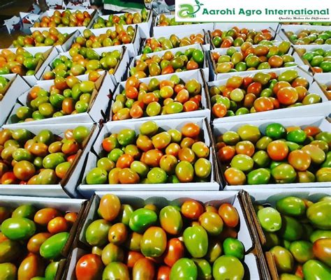 Tomato Wholesale Price And Mandi Rate For Tomato Vegetable In India