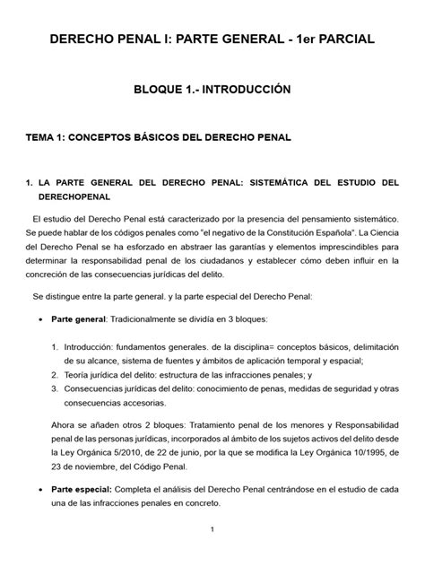Apuntes Penal 1pp Sin Formato Pdf