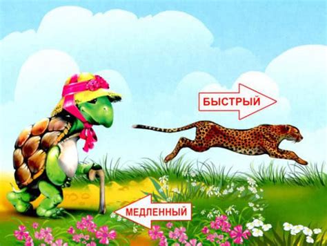 Учим противоположности с детьми 2 4 лет карточки и пособия Мишкины книжки