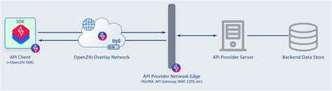 Nginx And Zerotrust Api Security
