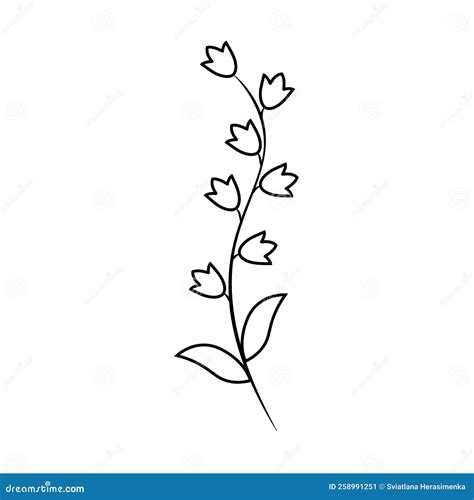 Floral Set Of Hand Drawn Botanic Elements Vector Illustration Stock