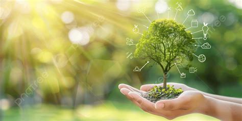Hand Holding Green Tree With Energy Icons For Sustainable Development