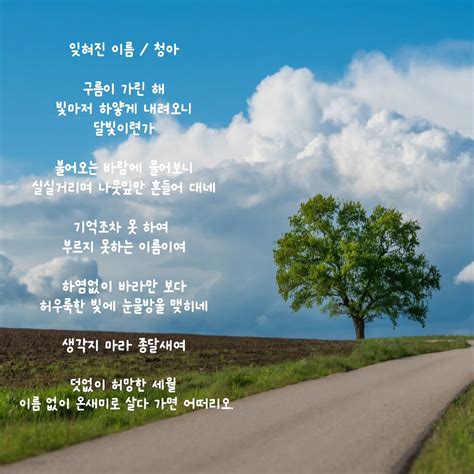 잊혀진다는 건 슬픈 일이지요 아니 기억할 수 없다면 새에게 오늘도 말을 걸었습니다 시 시스타그램 글스타그램