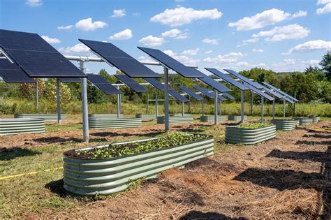 How Agrivoltaics Can Help Solve Virginias Energy Crisis The Piedmont