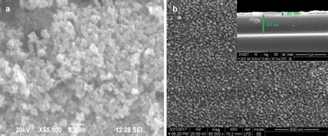 Morphology Of A Tio2 And B Tio2 Au Films Insert Cross Sectional