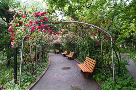 20230527 한림대 평촌성심병원 뒷뜰에 자리한 아담한 정원