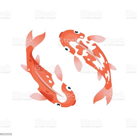 Koi Fish Top View Stock Illustration Download Image Now Fish Two