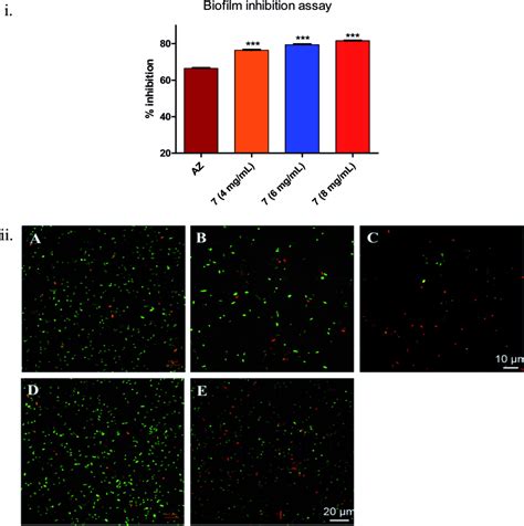 I Dose Dependent Anti Biofilm Forming Activity Of 7 In 24 H Treated