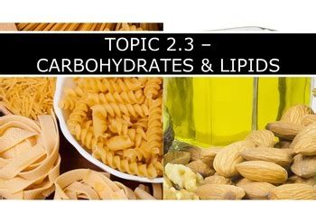 IB Biology Topic Molecular Biology PPT BUNDLE TPT