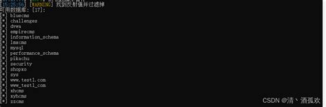 Windows Sqlmap Csdn