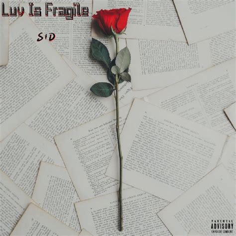 Sid Sensei Instagram Tiktok Linktree