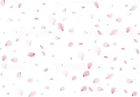 Sakura Petals Background 12003919 Png