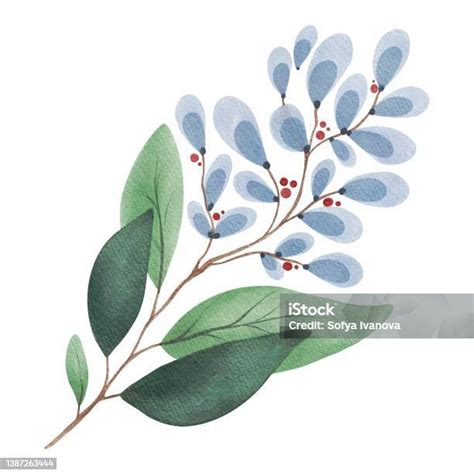 녹색 잎과 파란 새싹 그림과 함께 손으로 그리는 수채화 아름다운 식물 포스터 카드 인쇄 섬유 템플릿 직물 패턴 스티커 결혼식 축하 생일에 사용 12월에 대한 스톡 벡터 아트