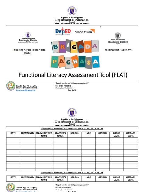Sdoin Flat Data Entry File Pdf Cognition Learning