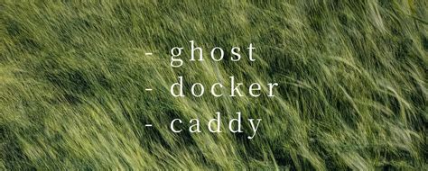 使用caddy和docker部署ghost博客