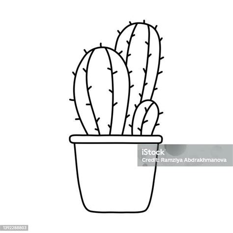 Sketsa Kaktus Pot Vektor Tanaman Indoor Dalam Pot Ilustrasi Garis Hitam