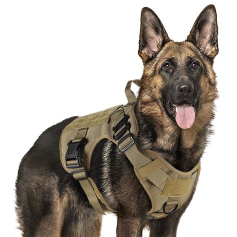 Best Harness For German Shepherd Top Picks For Comfort And Safety