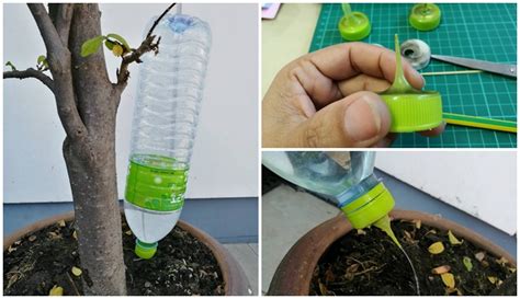 Diy “ขวดหยดน้ำ” ระบบรดน้ำต้นไม้อัตโนมัติ หมดปัญหาต้นไม้เหี่ยวเฉายามที่