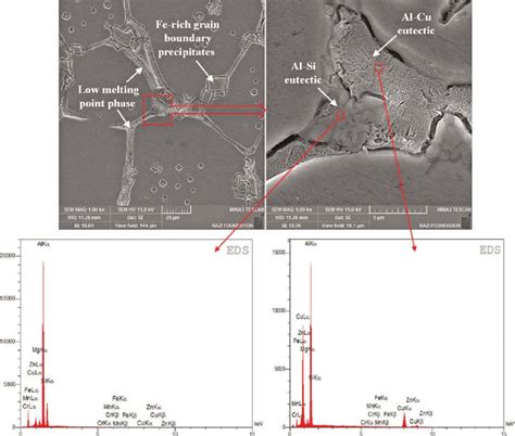 Semeds Analysis Of The Semi Solid Sample Prepared By The Conventional