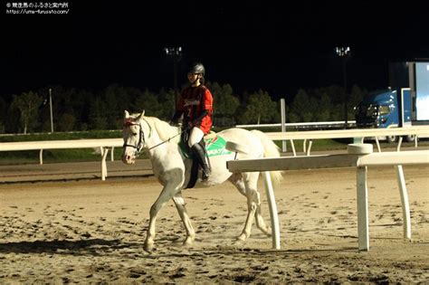 門別競馬場で北海道コンサドーレ札幌day 馬産地ニュース 競走馬のふるさと案内所
