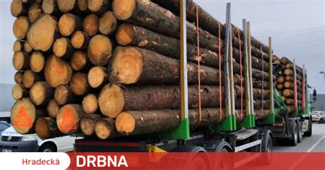Zloděj bez řidičáku byl přistižen při nakládání kradeného dřeva