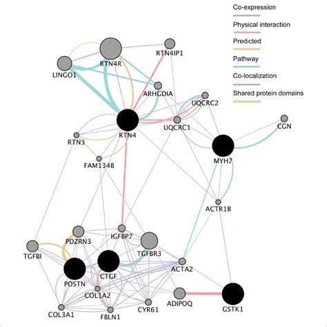 Functional Interaction Networks Related To The Five Genes