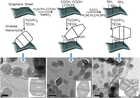 Schematics For Tuning Of Tio 2 Morphology By Specific Functionalities Download Scientific