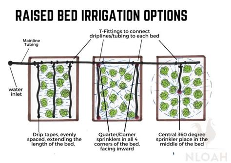 Drip Irrigation For Beginners New Life On A Homestead Homesteading Blog