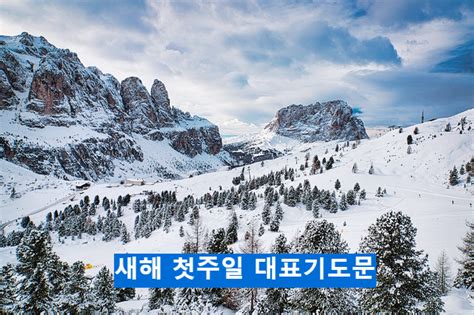 말씀과 함께 하는 2025년 새해 첫주일 대표기도문