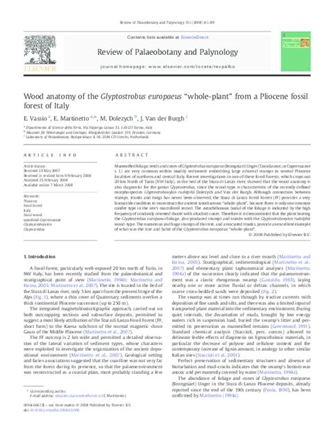 Pdf Wood Anatomy Of The Glyptostrobus Europaeus Whole Plant From