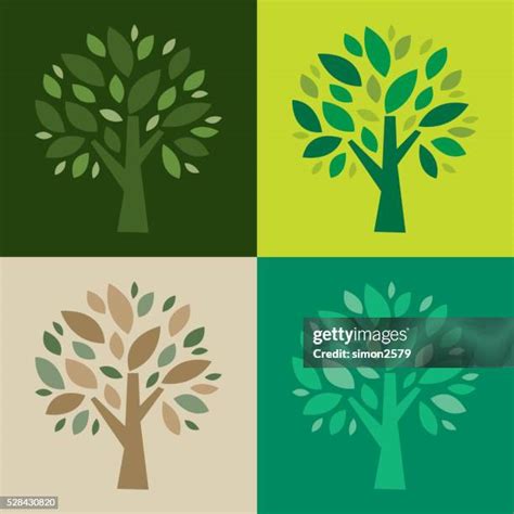 Sapling Tree Silhouette Photos And Premium High Res Pictures Getty Images