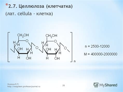 Клетчатка целлюлоза это: ЦЕЛЛЮЛОЗА, КЛЕТЧАТКА | это... Что такое ...