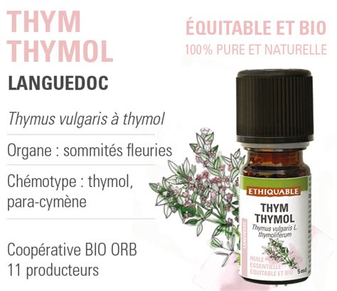 Huile essentielle de Thym Thymol pure et naturelle équitable bio Ethiquable