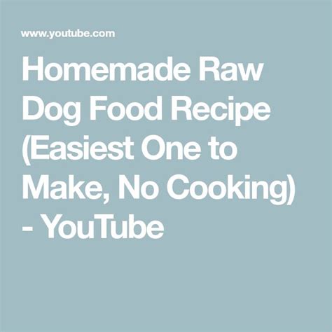 Homemade Raw Dog Food Recipe Easiest One To Make No Cooking