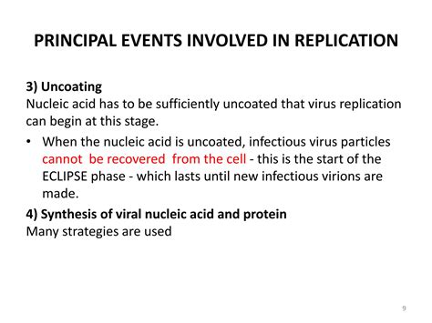 Viral Replication 1virus Replicatiin And Its Life Cycle Ppt