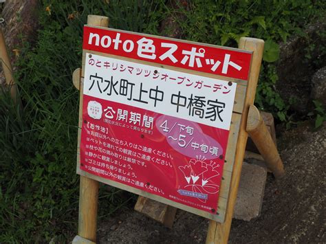 能登峨山キリシマツツジ 金沢おもしろ発掘