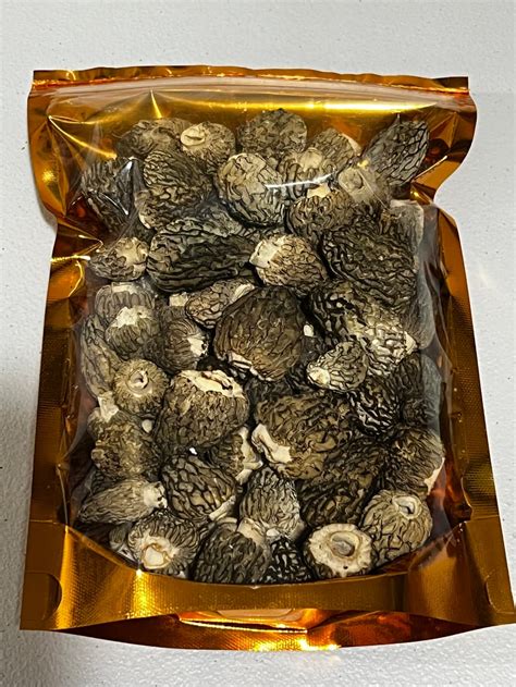 Freeze Dried Wild Morel Mushrooms Buy Online Foraged