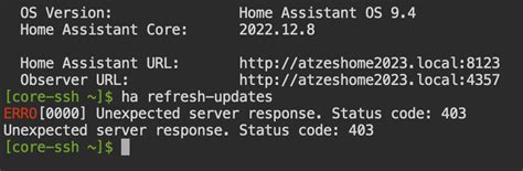 Homeassistant Core Update Would Not Install 2022129 Installation