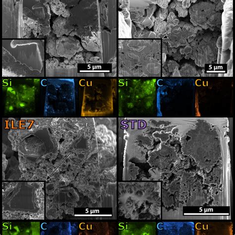Scanning Electron Microscopy Micrographs Of μmg Si Electrodes Cycled