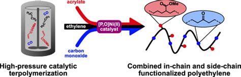 Acs Macro Letters Vol 11 No 10 Acs Publications