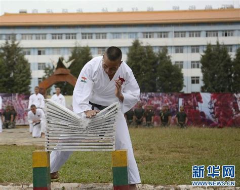 中印陆军反恐联训 印军秀单手碎石钻火圈 国际 人民网