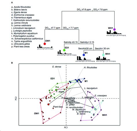A Example Of One Of The Fifteen Multivariate Regression Tree Mrt
